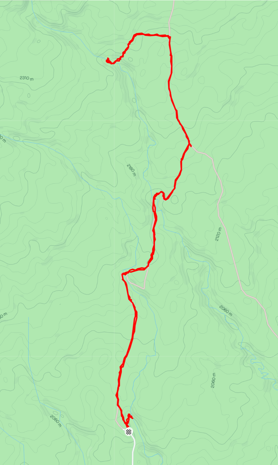 Castle Forest Day Hike – Matembezi Travellers Club