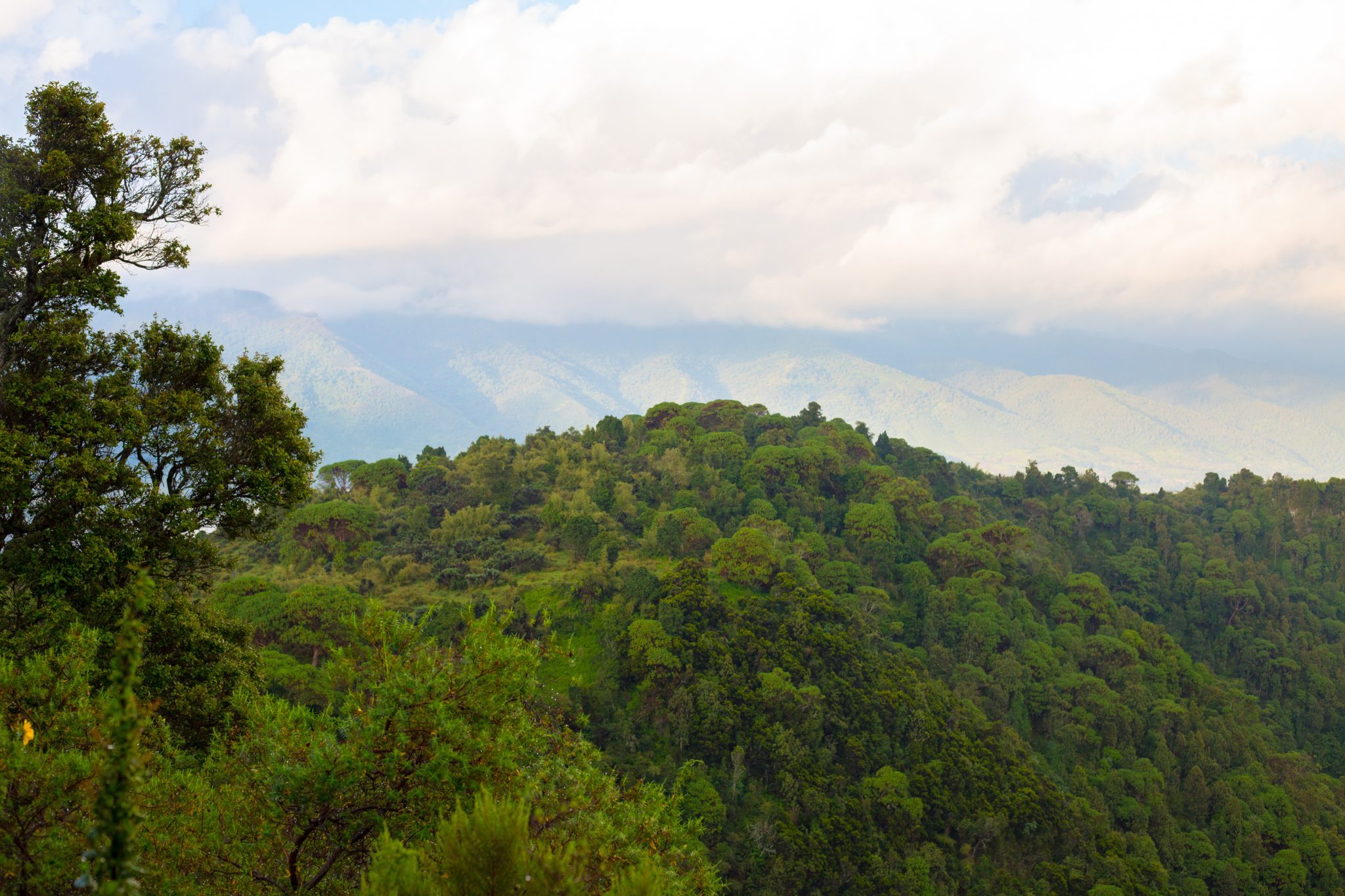 Mt. Kipipiri Hike – Matembezi Travellers Club
